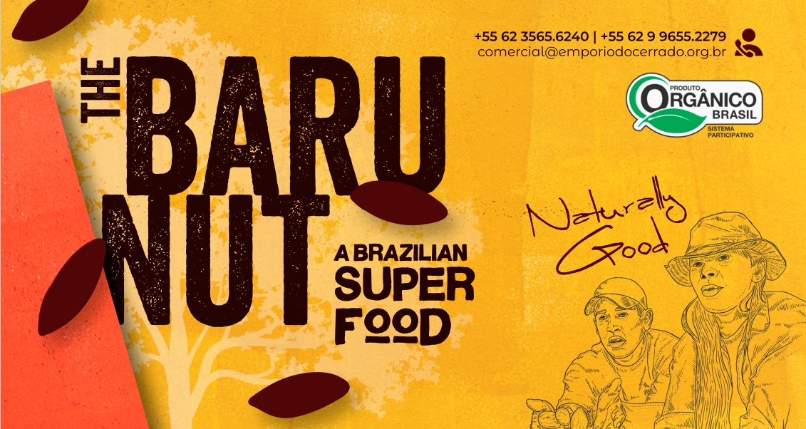 The Baru Nut - A Brazilian Superfood - Empório Do Cerrado